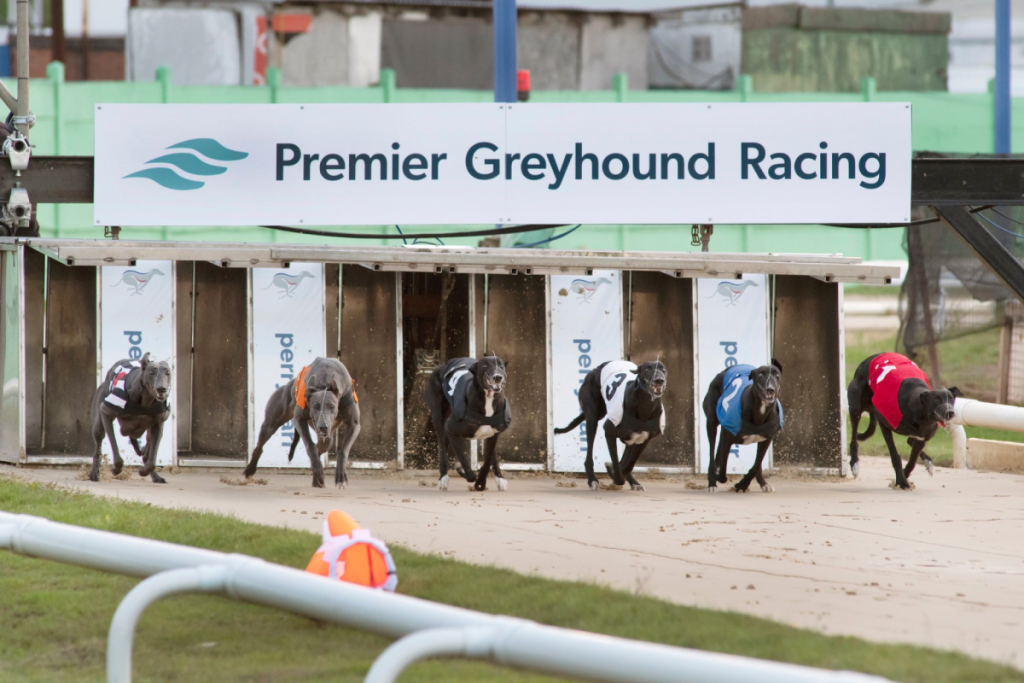 Premier Greyhound Racing appoints Clarissa Baldwin CBE as Non-Executive ...