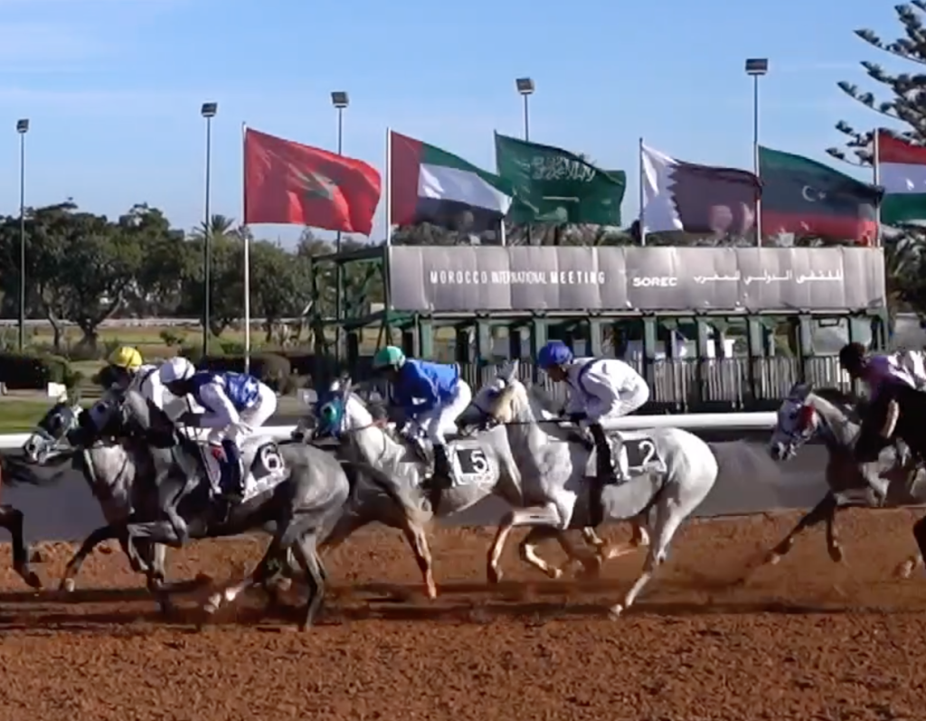 1/ST CONTENT expands its reach to add elite Moroccan racing to ...